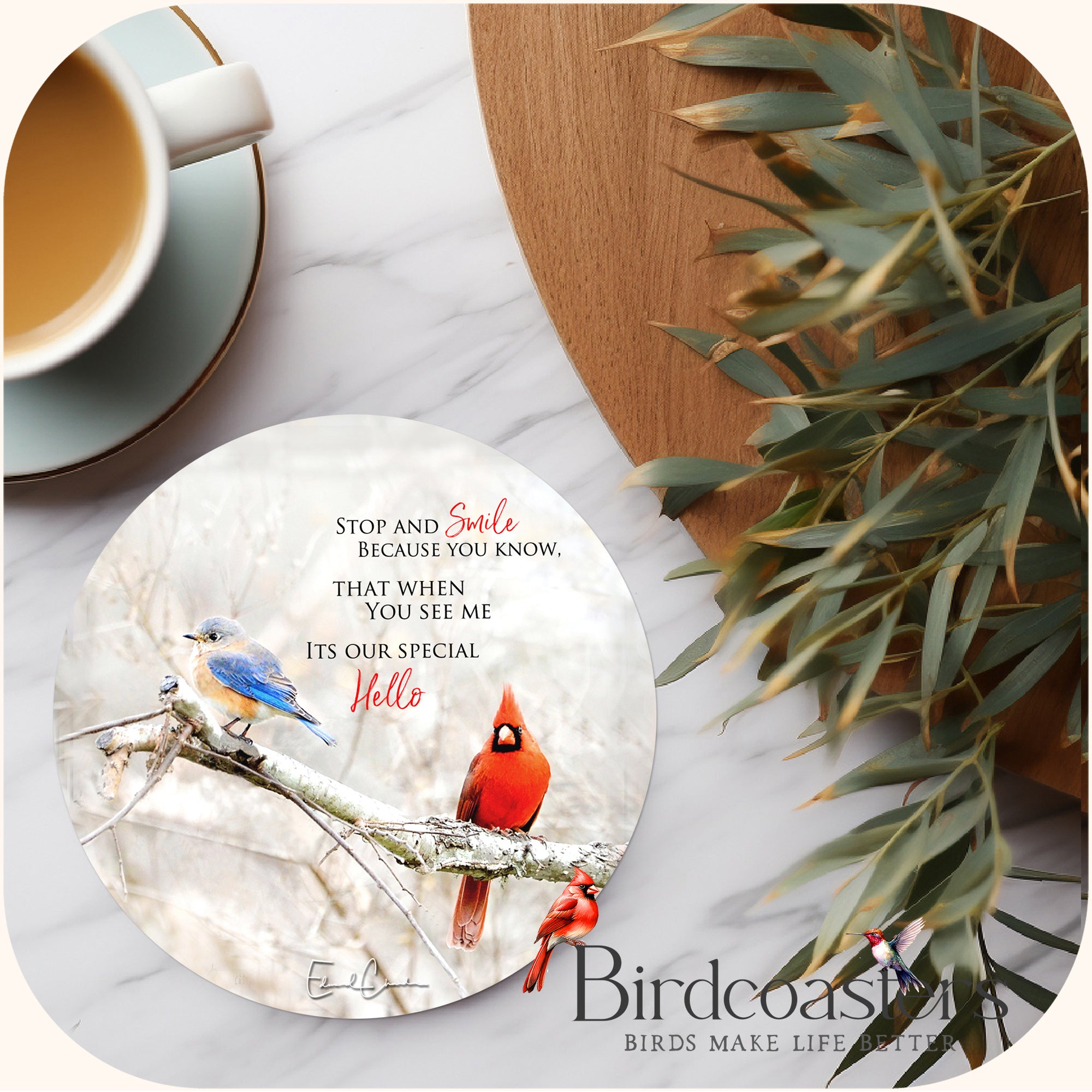 Bluebird and Cardinal - Stop and Smile – Birdcoasters